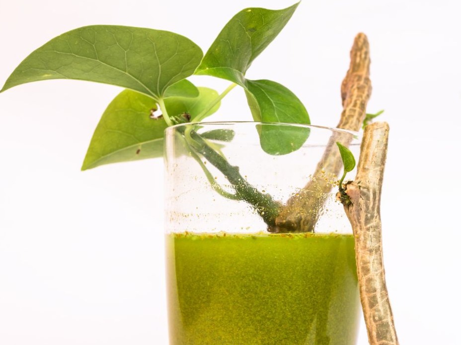 Health Benefits of Giloy