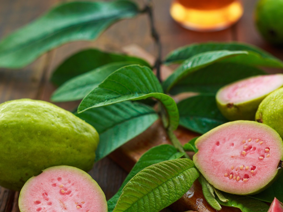 Health Benefits of Guava Fruits